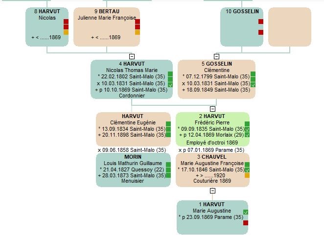 Cours N° 5 - Compléter l'arbre (suite)